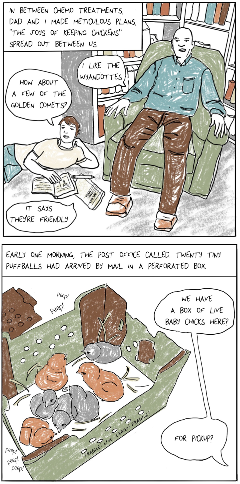 The Joys of Keeping Chickens, EG Shields, Pre-issue 15.1