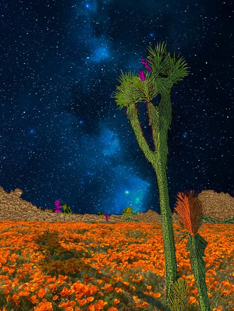 Raising Awareness: Insights from Cat DM's Digital Art